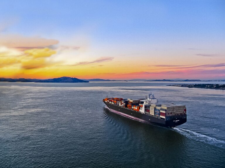 Step-by-Step Guide to Sea Freight From China to Hungary - Dantful